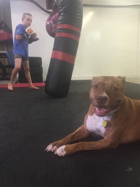 Porter Matecki Arnold Bjj