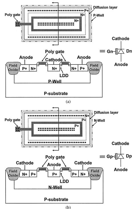The Layout Top Views And The Device Cross Sectional Views Of