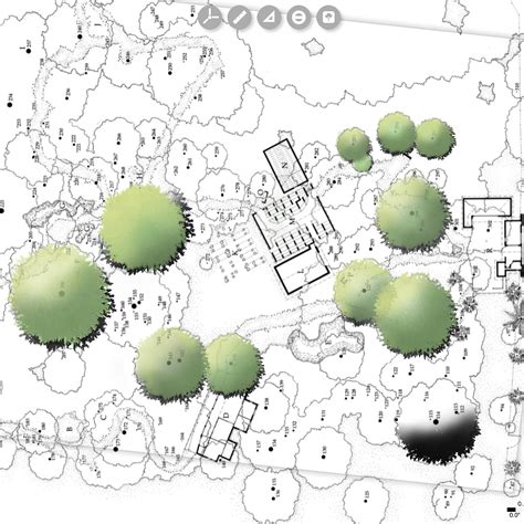 Architectural Site Plan Trees