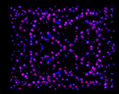 Scoopex One Le Coding Of Dune Cracktro Aga Sur Amiga Stash Of Code