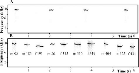 —a Spectrogram Of A Spontaneous Series Of The Alarm Call Notes