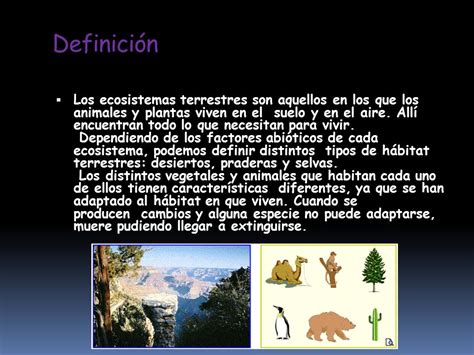 Definición De Ecosistema Terrestre Qué Es Significado Y Concepto