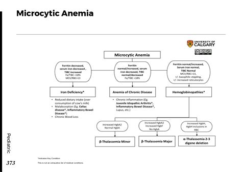 Microcytic Anemia Blackbook Blackbook