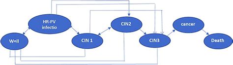 Model Natural History Of Cervical Cancer Download Scientific Diagram