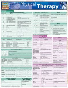 Levels Of Assistance Fim Levels Chart Physical Therapy Physical
