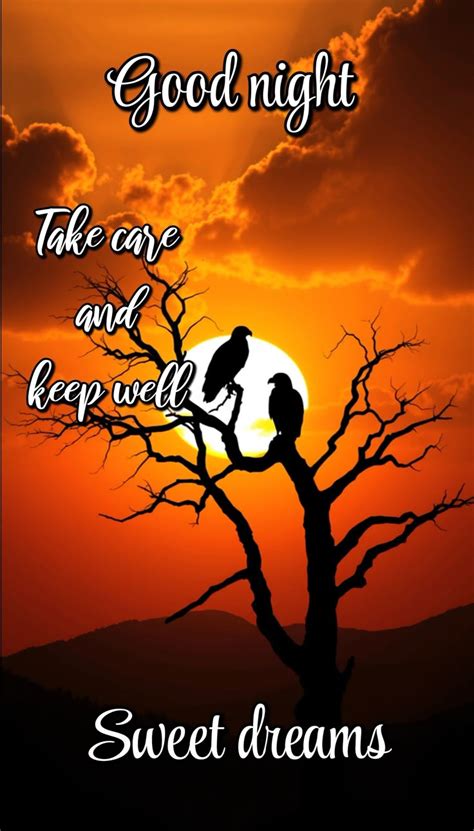 Good Night Take Care And Keep Well Sweet Dreams Good Night Message