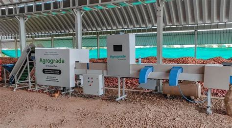 Automatic Fruit Colour Grading Machine 10 Metric Tonhour At Rs 1500000 In Pune