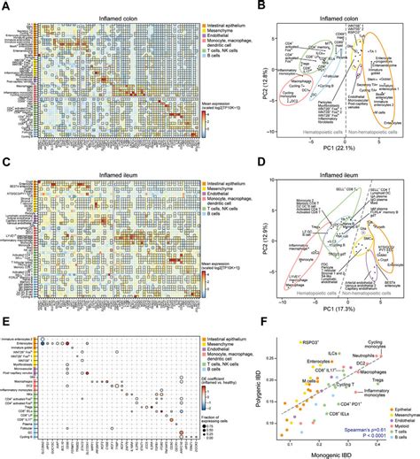 Monogenic Ibd Gene Expression In Inflamed Ileum And Colon A D
