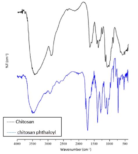 Spectra Ir Of Chitosan And Phthaloyl Chitosan Download Scientific Diagram
