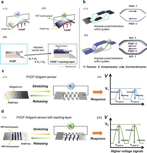 Signal Amplified Stretchable Pvdf Kirigami Sensor Via Neutral Axis