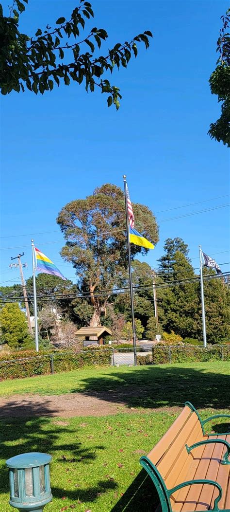 Flags Equality Sam Pinfold