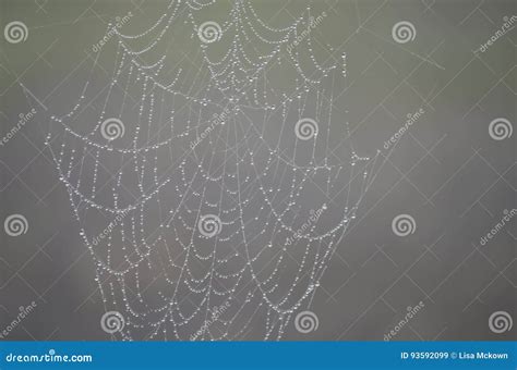 Spider Web Architecture Stock Image Image Of Hunting 93592099
