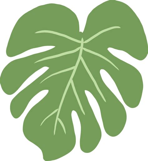 Simplicidad Hoja De Monstera Dibujo A Mano Alzada Diseño Plano