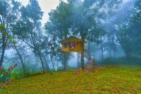 Best Tree House In Munnar Tent Camping In Munnar