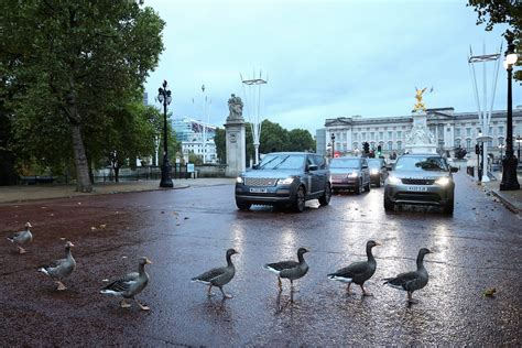 Britain To Introduce Digital Driving Licences This Year Reuters