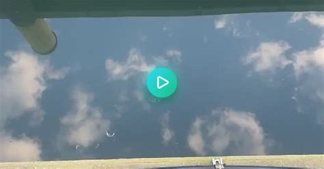 Alien Album On Imgur