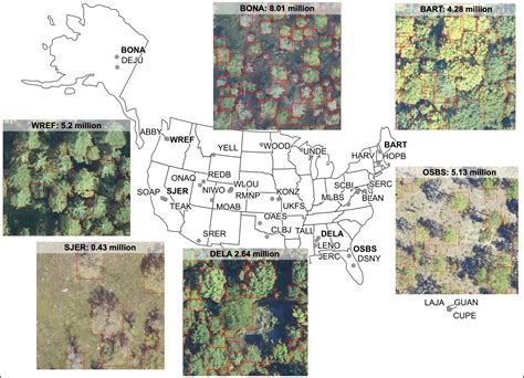 A Remote Sensing Derived Data Set Of 100 Million Individual Tree Crowns