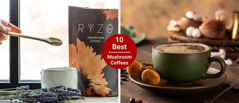 10 Best Mushroom Coffee Brands In 2026 For Focus And Energy