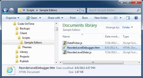 Code On Time Client Library Debugging Custom Input Elements