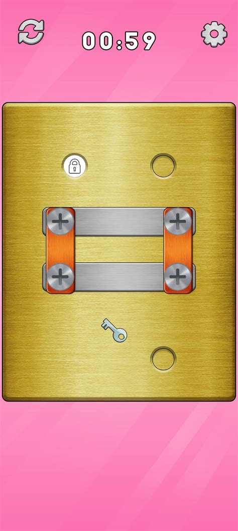 Screw Puzzle Nuts And Bolts Codeshop Studio