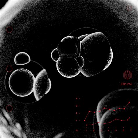 Microscopic Analysis On Behance