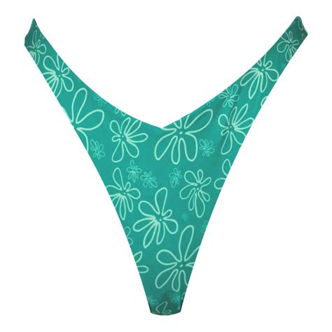 Sara High Hip Bikini Bottoms Cheeky Cut Bikini Salt And Ripple