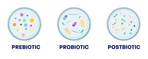 Plants Use Probiotics Too Herogra Herogra