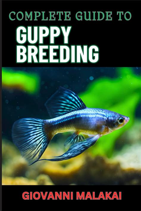 The Ultimate Guide To Breeding Guppies Everything You Need To Know