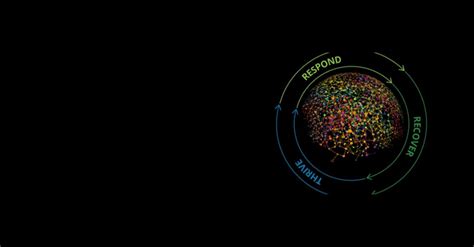 Experience In Action Deloitte Global