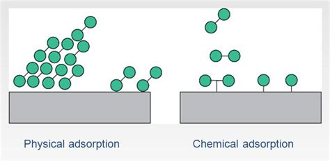 Difference Between Physical And Chemical Adsorption Viva Differences