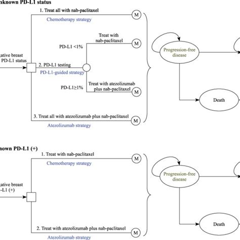 Model Structure For Advanced Triple Negative Breast Cancer Pd L1 Download Scientific Diagram