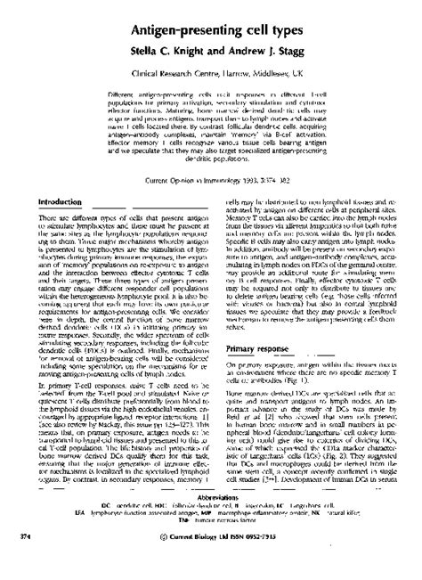 Pdf Antigen Presenting Cell Types