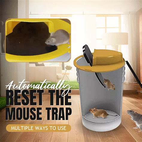 Purchase Flip N Slide Bucket Lid Mouse Trap Mausefallen Ratten