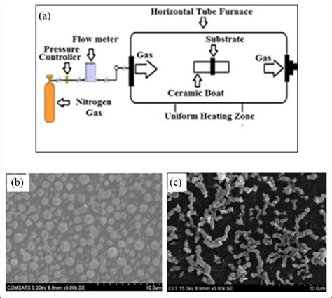 A The Schematic Illustration Of Experimental Setup B C Sem Images Download Scientific