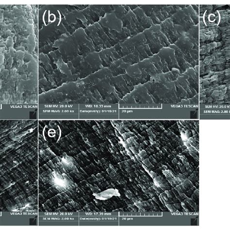 Surface Sem Micrographs Of Fractured Mppatt Nanocomposites With Download Scientific Diagram