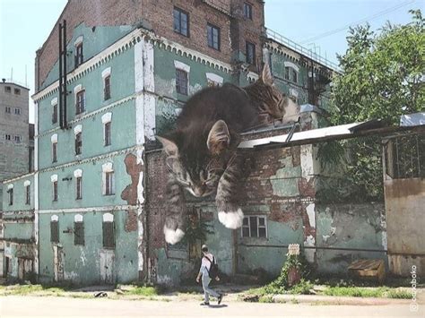 Artist Asks The Question “what If Cats Were Giants” In These