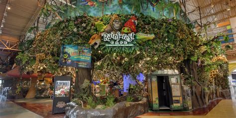 Hours Location Arizona Mills Az Rainforest Cafe