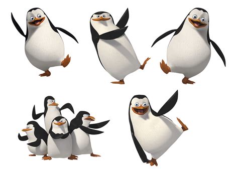 The Madagascar Penguins The Madagascar Penguins Names Xfefy