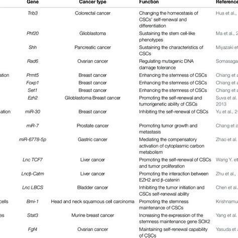 Genes Involved In The Stemness Maintenance Of Cscs Download Scientific Diagram
