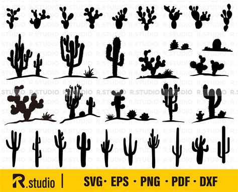 Cactus Silhouette Vector