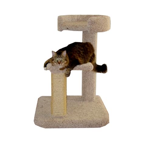 Custom Cat Trees The Cat Connection