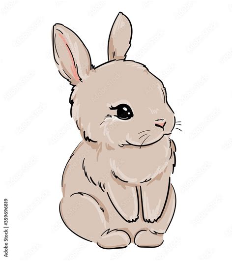 Rabbit Illustration