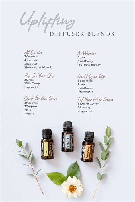 Doterra Oil Blends For Diffuser At Carl Bills Blog
