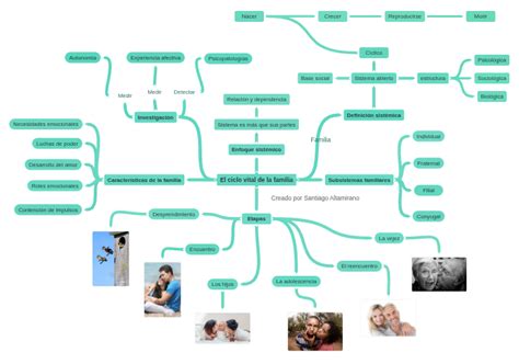 El Ciclo Vital De La Familia Familia Creado Por Santiago Altamirano