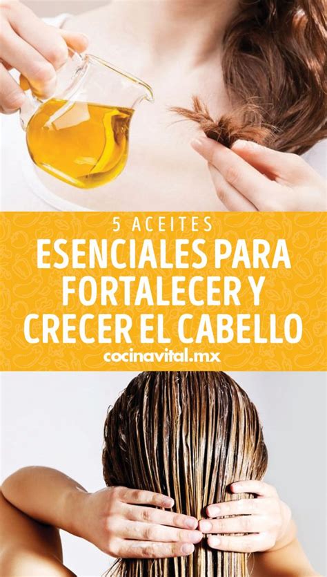 5 Aceites Esenciales Para Fortalecer Y Crecer El Cabello Como Lavar El Cabello Crecimiento
