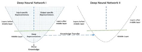 The Deep Representations And Knowledge Transfer Scenario The Middle Download Scientific