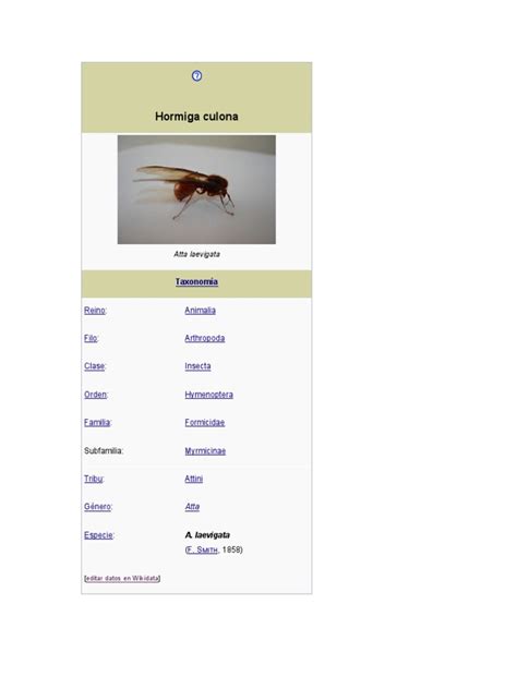 Bachaco Pdf Apocrita Mirmecología