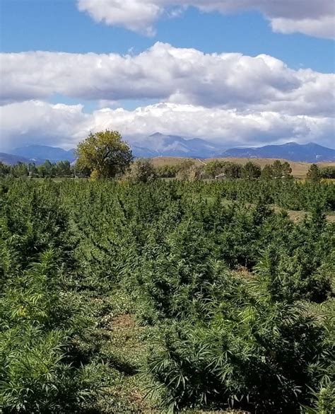 Scott Cusack On Linkedin Harvest Is Approaching