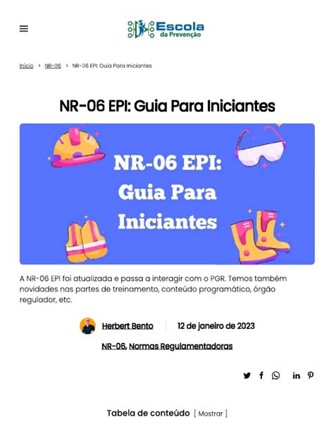 Nr 6 Epi Guia Do Profissional Sst Pdf