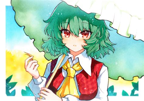 Kazami Yuuka Touhou Drawn By Rinkaqqqrinkappp Danbooru